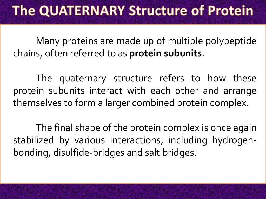 The Quaternary Structure Of Protein