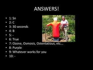 3.2, INK - The Quizard of Oz | PPTX