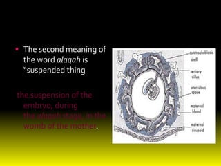 The quran on human embryonic development | PPTX
