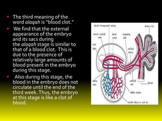 The quran on human embryonic development | PPTX