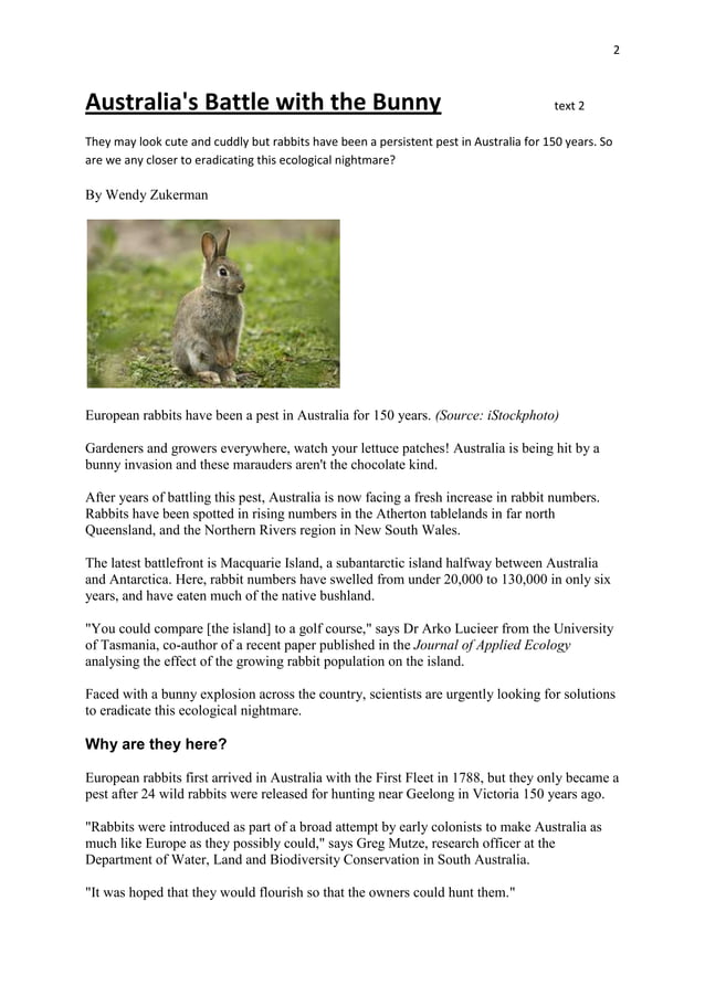 The rabbits slideshare | PDF