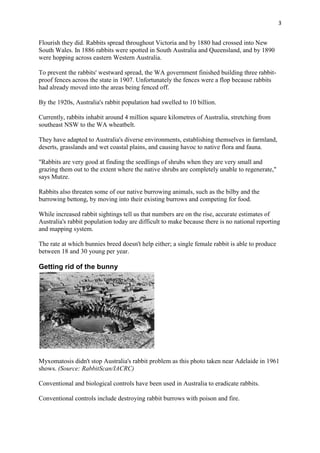 The rabbits slideshare | DOCX | Australia and Oceania Travel | Travel ...