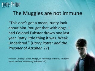 The racial politics of harry potter | PPTX | Debated Sensitive Social ...