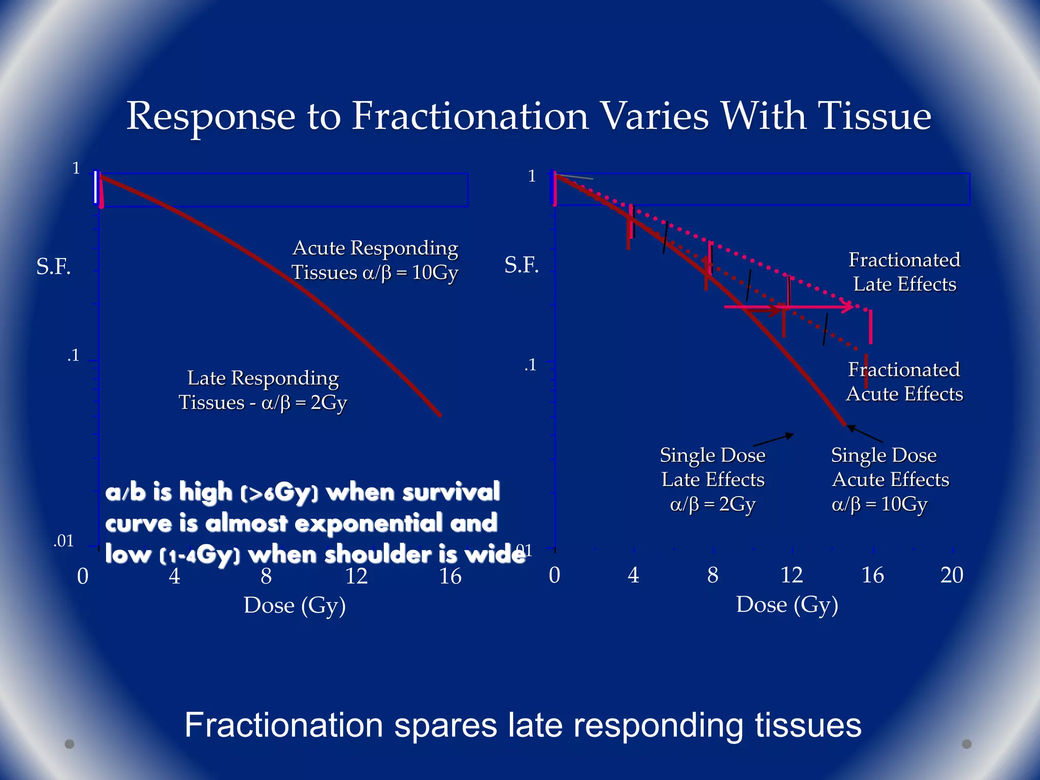 The Radiobiology Behind Dose Fractionation.pdf