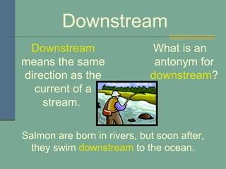 The raft vocabulary share | PPS