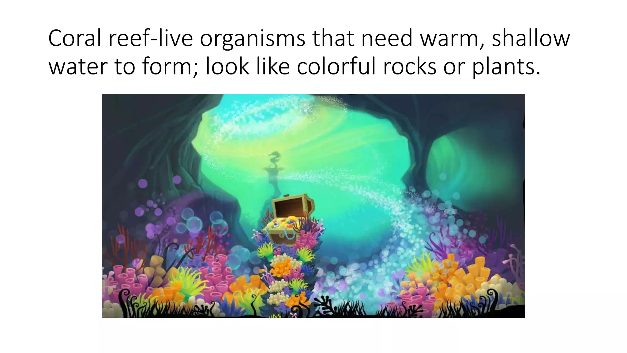 The Rainbow Fish-PP#1 | PPTX