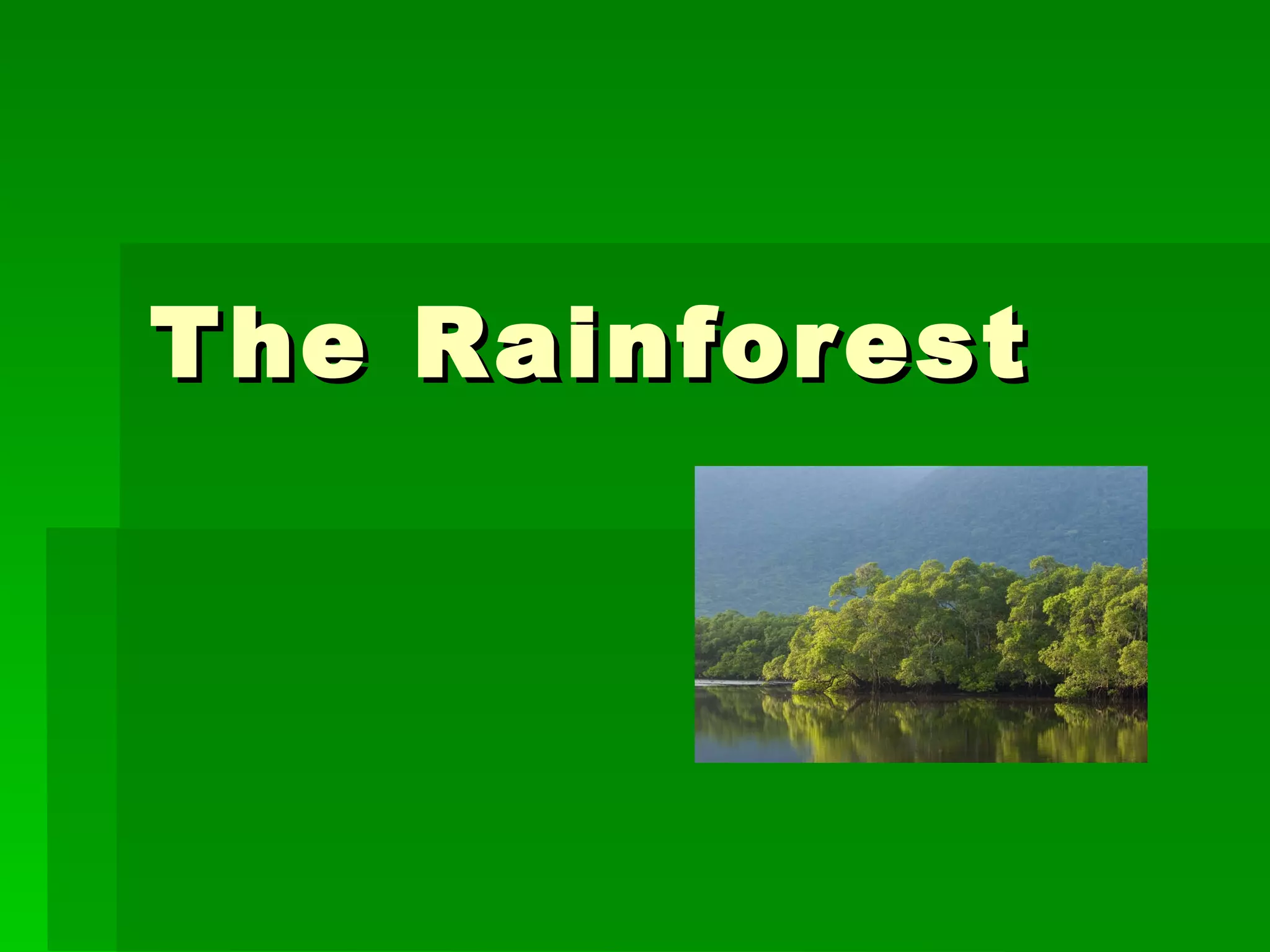 The rainforest | PPT