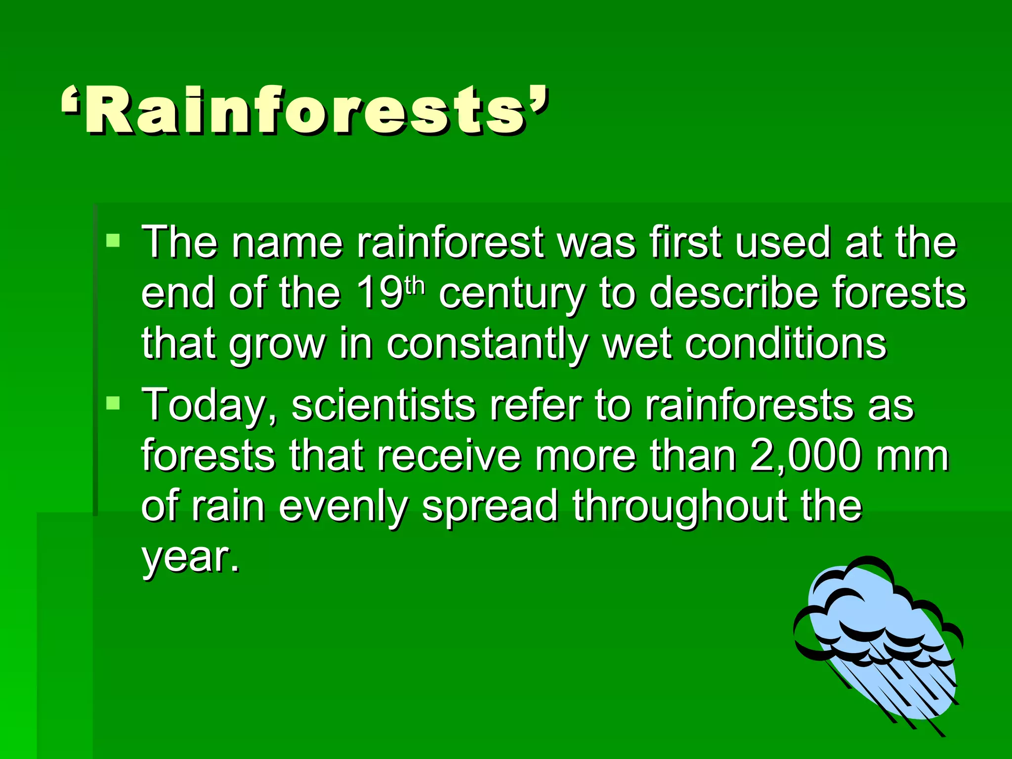 The rainforest | PPT