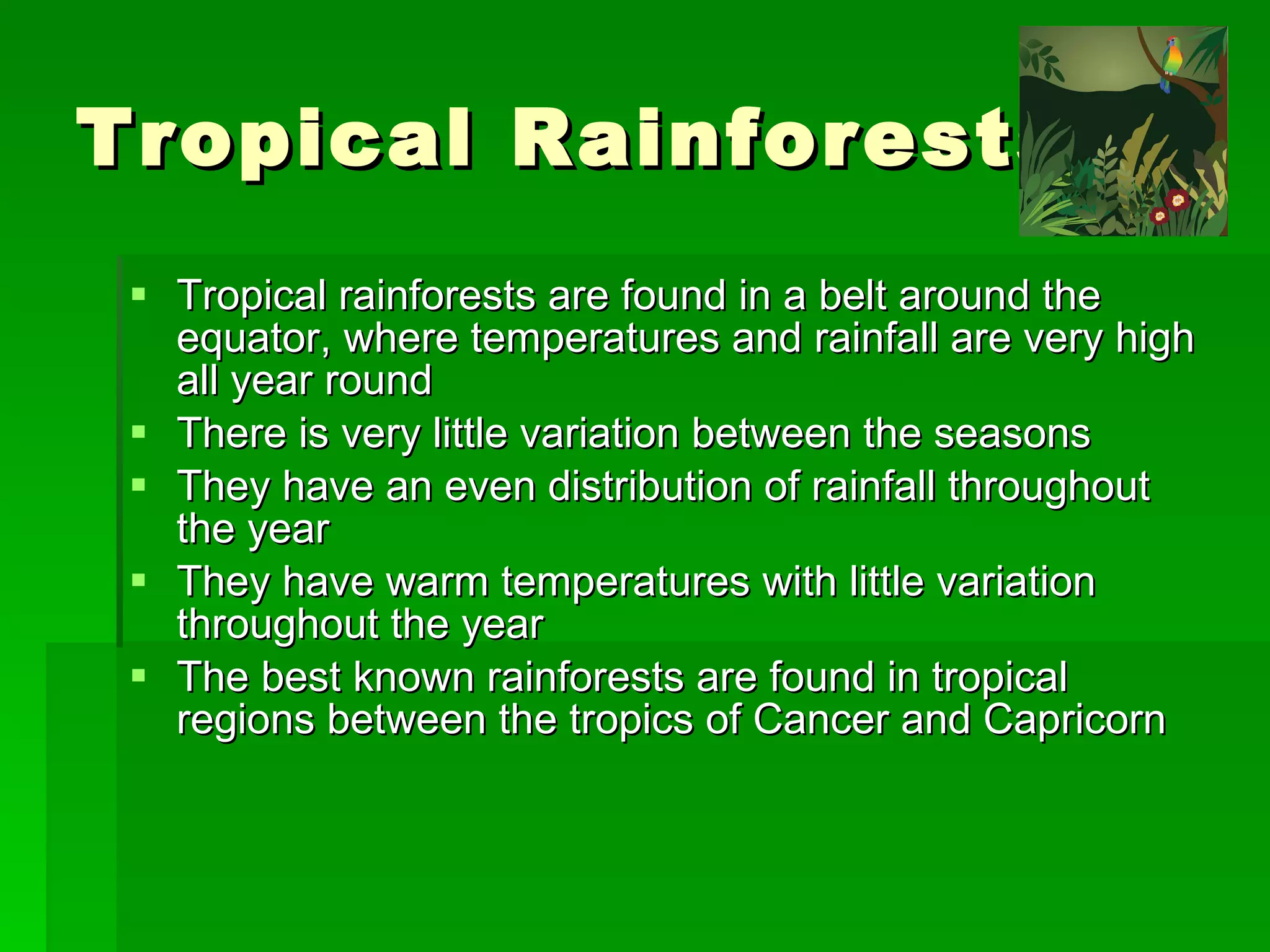 The rainforest | PPT