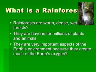 The rainforest | PPT