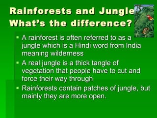 The rainforest | PPT