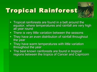The rainforest | PPT