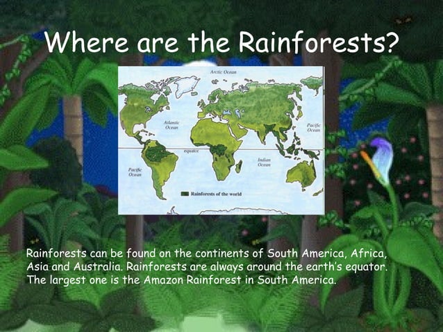 Major Rainforest Regions | PPT | Asia Travel | Travel Locations
