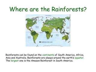 The rain forest | PPT