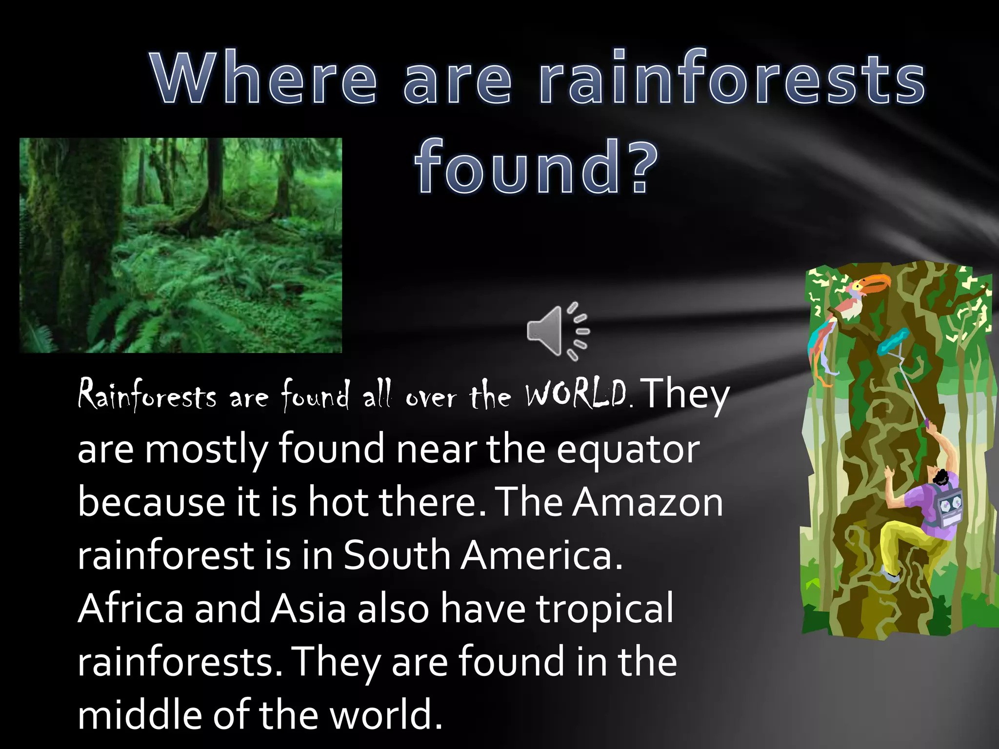 The rainforest | PPTX