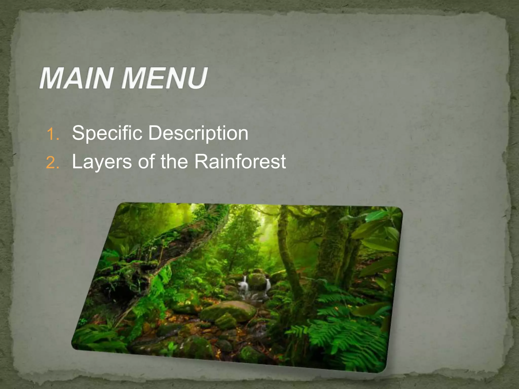 THE RAINFOREST.pptx
