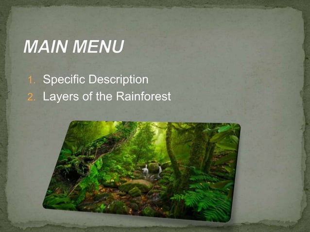 THE RAINFOREST.pptx