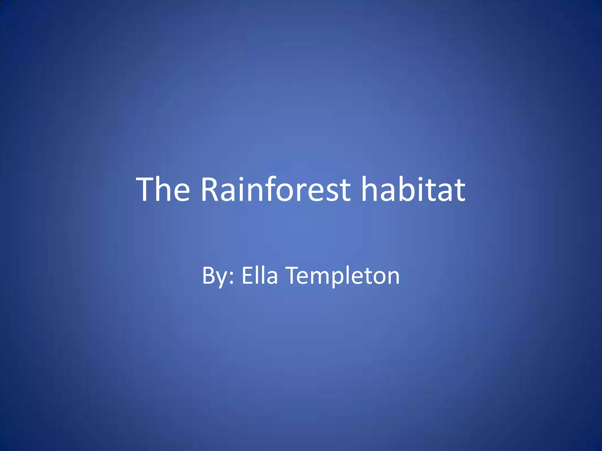 The rainforest habitat | PPTX