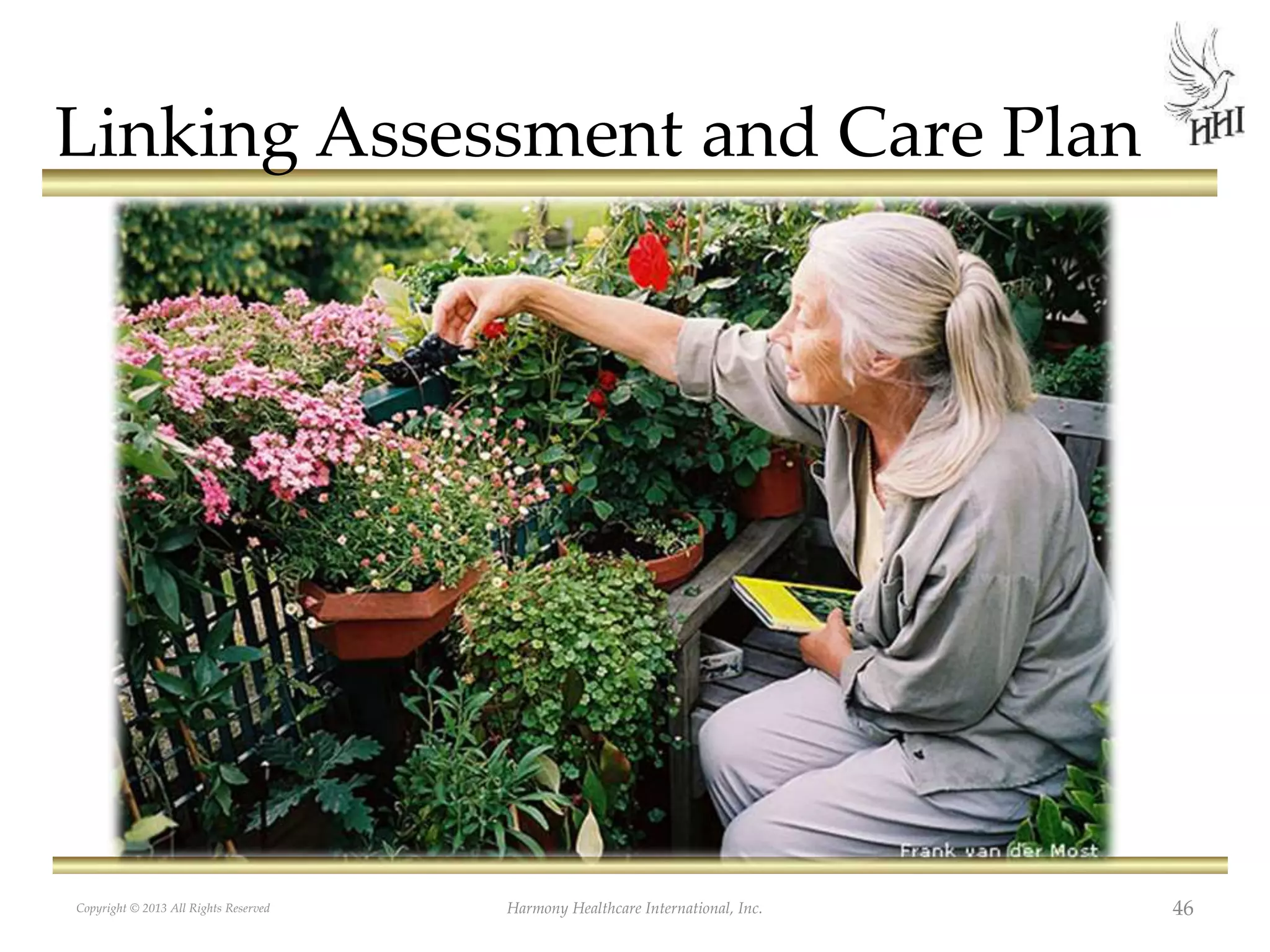 The RAI Process: CAAs, Care Planning and Beyond | PPTX