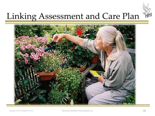 The RAI Process: CAAs, Care Planning and Beyond | PPTX | Healthcare ...