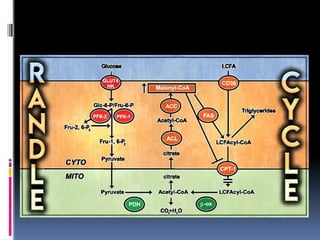 THE RANDLE CYCLE PRESENTATION Final.pptx