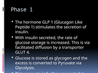 THE RANDLE CYCLE PRESENTATION Final.pptx
