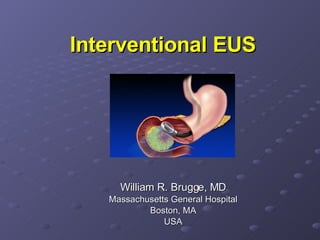 Therapeutic Eus 2008 | PPT