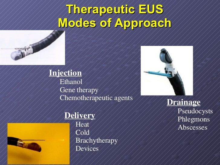Therapeutic Eus 2008