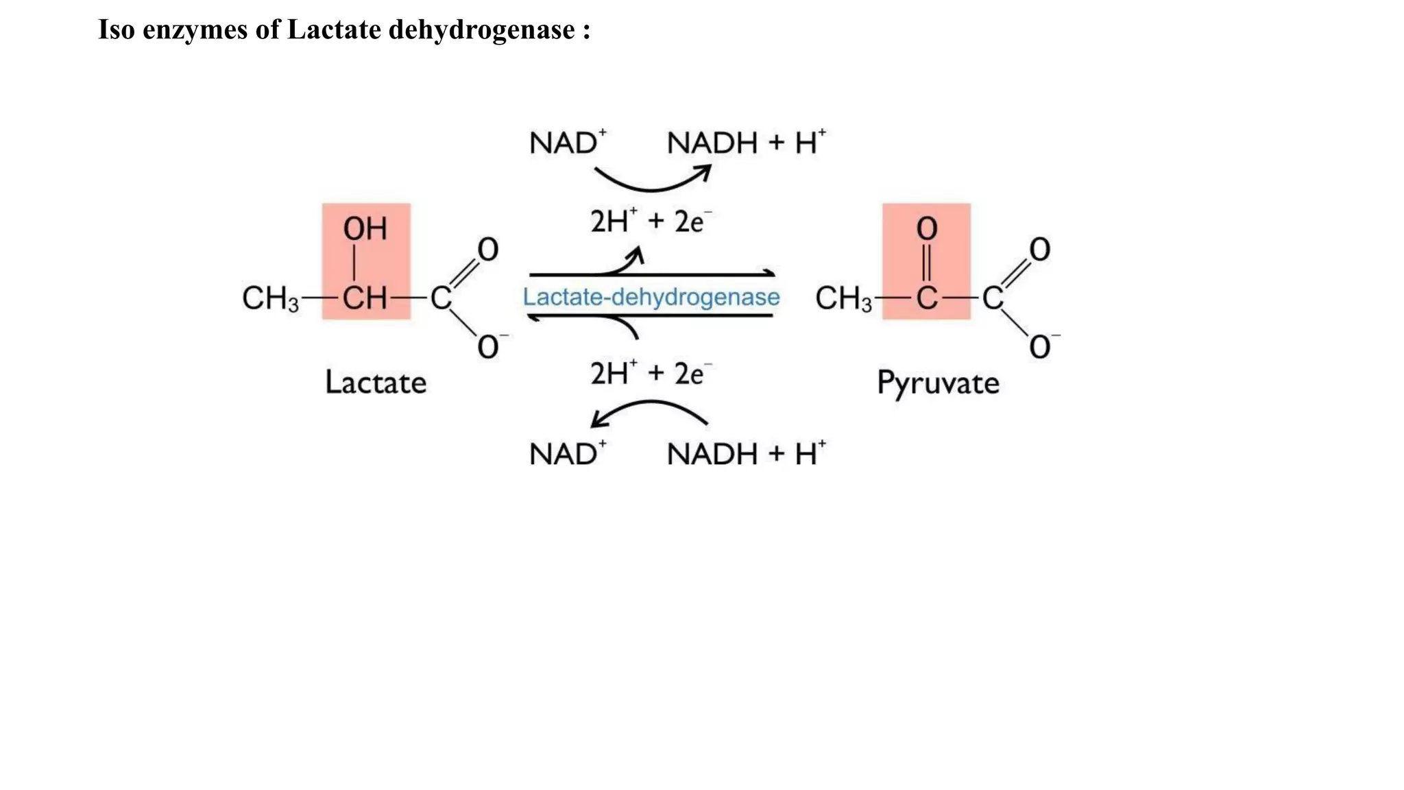Therapeutic and diagnostic applications of enzymes isozymes and ...