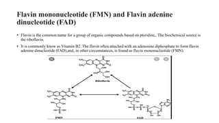 Therapeutic and diagnostic applications of enzymes isozymes and ...