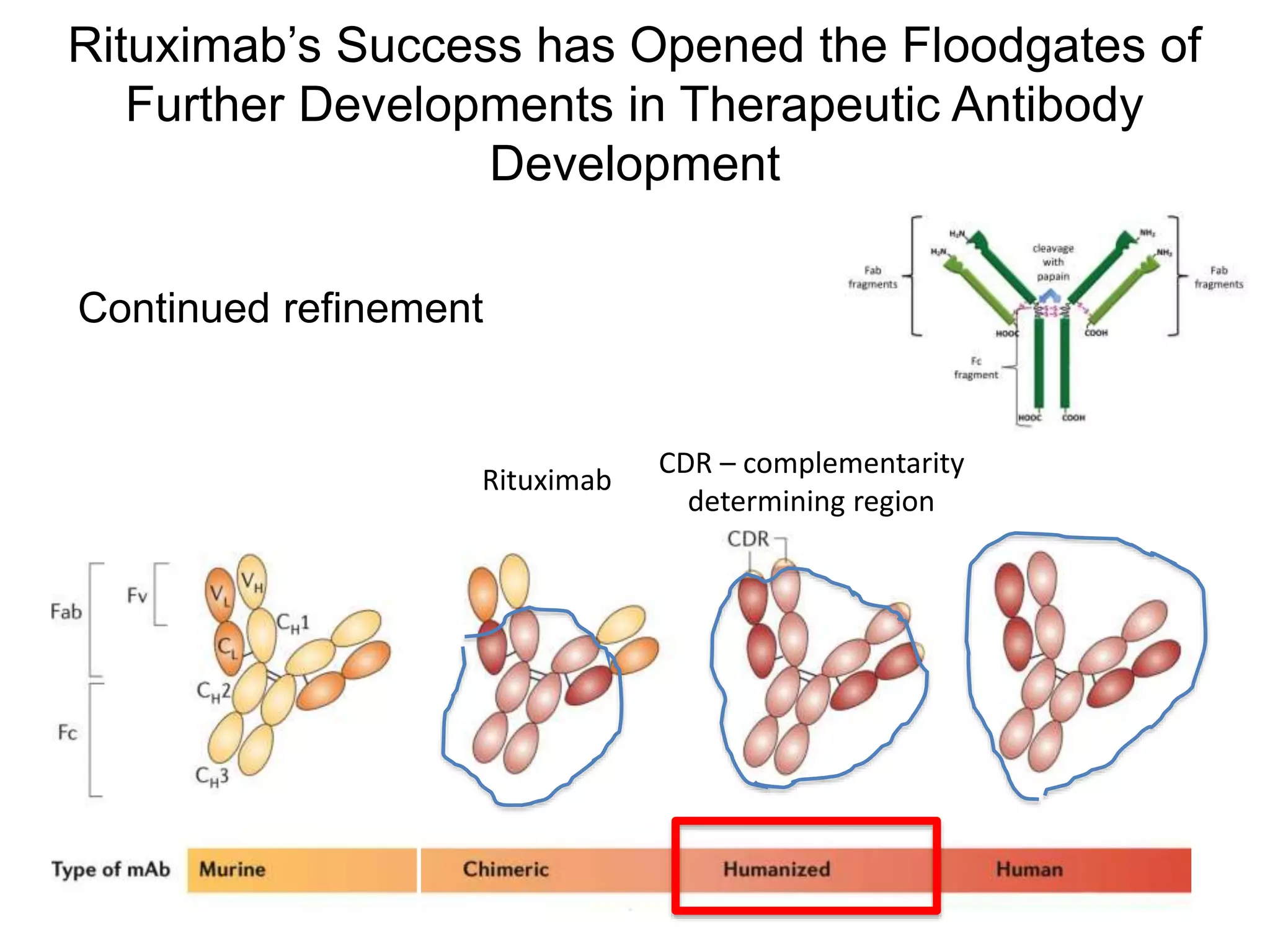 Therapeutic antibodies 3_humanization | PPTX