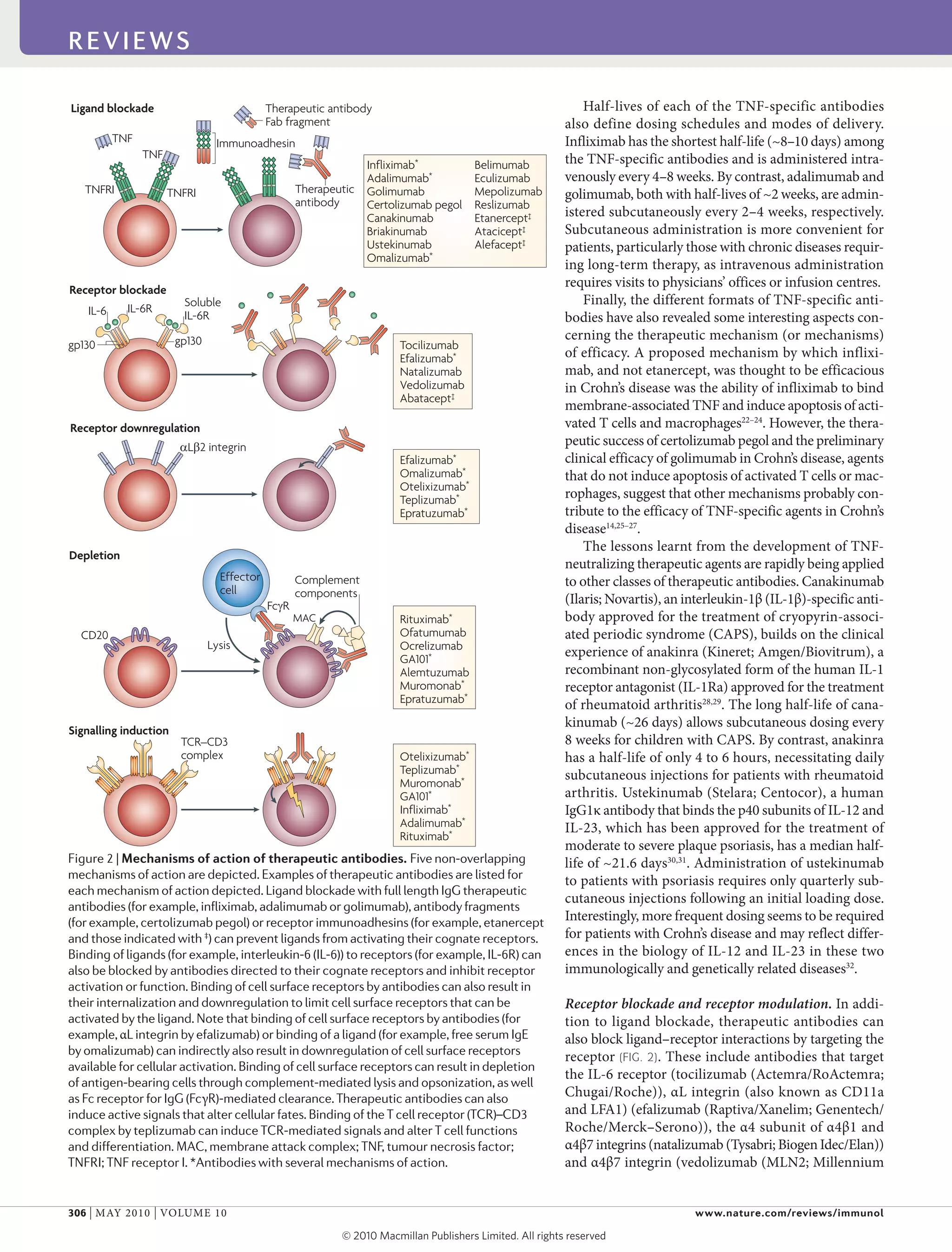 Therapeutic antibodies for autoimmunity and inflammation | PDF