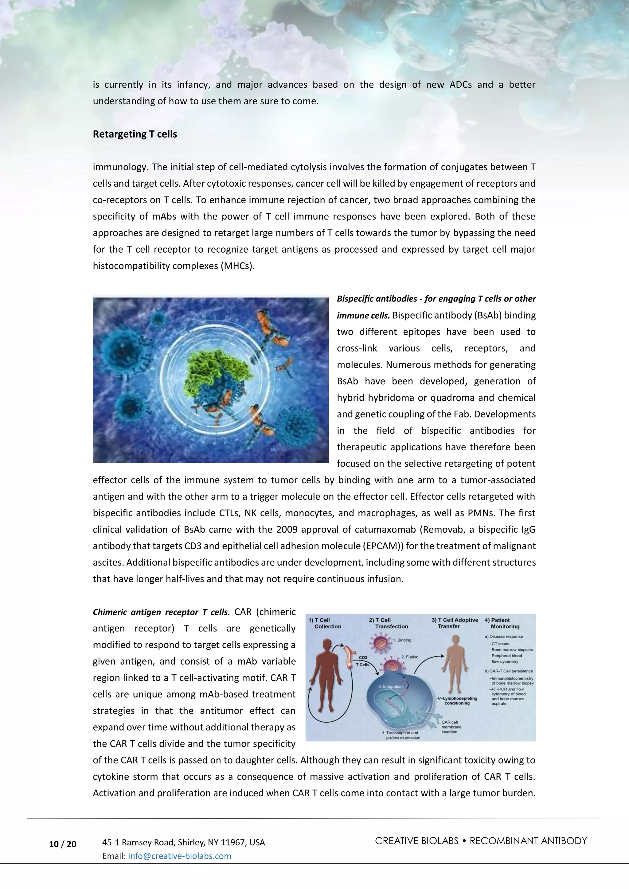 Radioimmunoconjugates | PDF