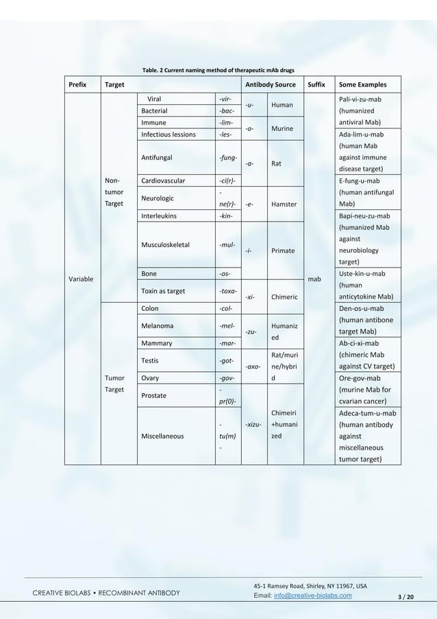 Current naming method of therapeutic mAb drugs | PDF