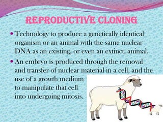 Reproductive Cloning
