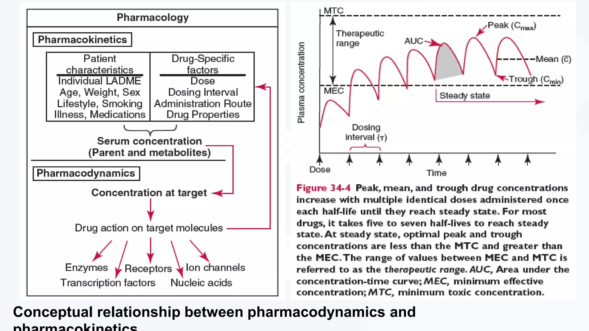 Therapeutic drug monitoring (TDM) | PPTX