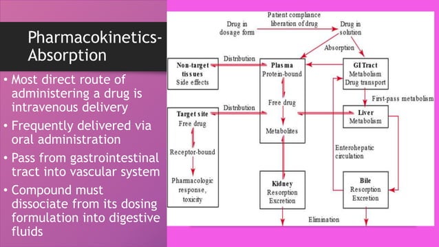 Therapeutic Drug monitoring (TDM)...pptx