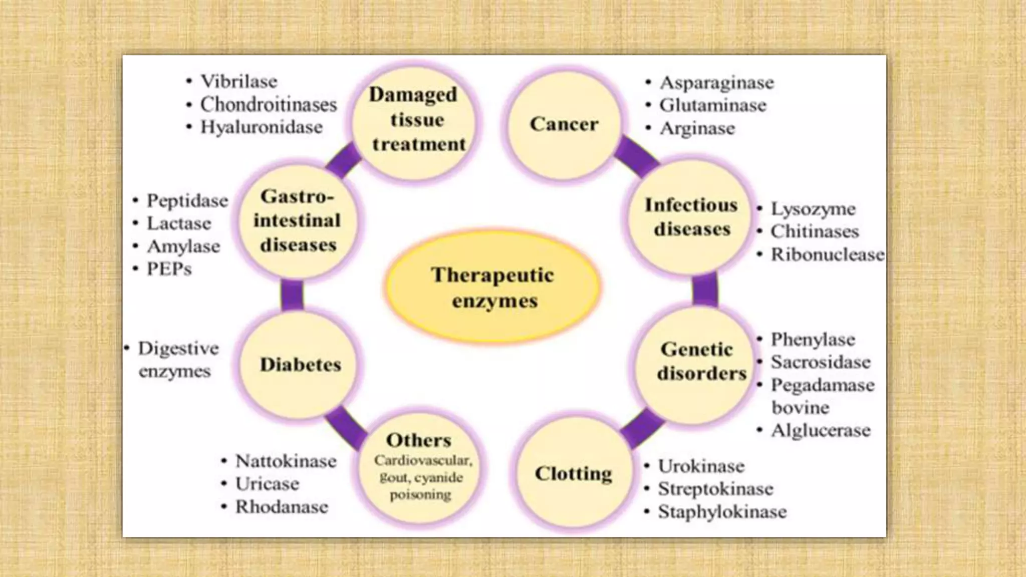Therapeutic enzymes working | PPTX