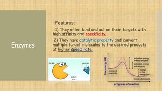 Therapeutic enzymes working | PPTX