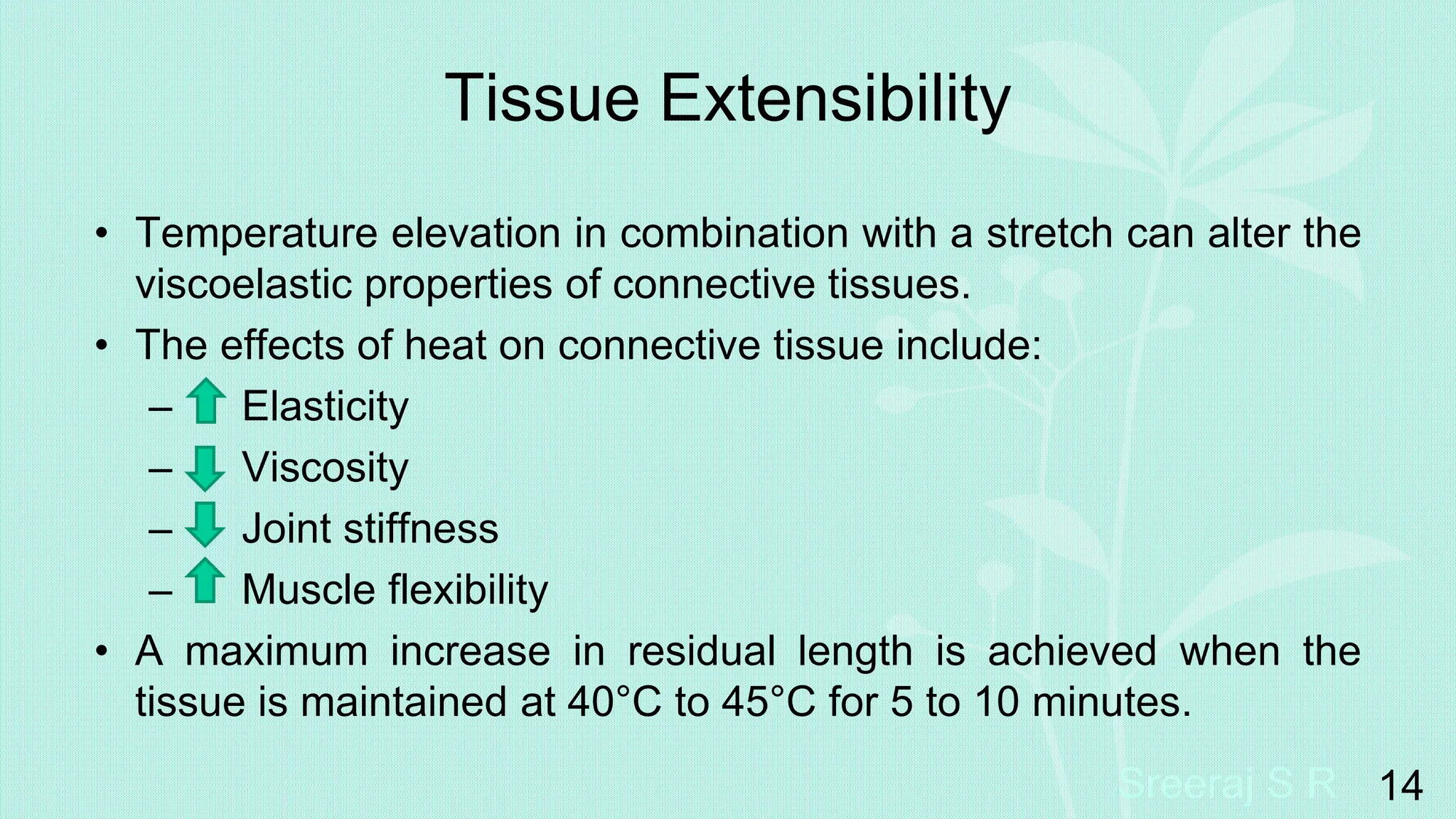 Therapeutic Heat: Physiological & Therapeutic Effects | PPTX