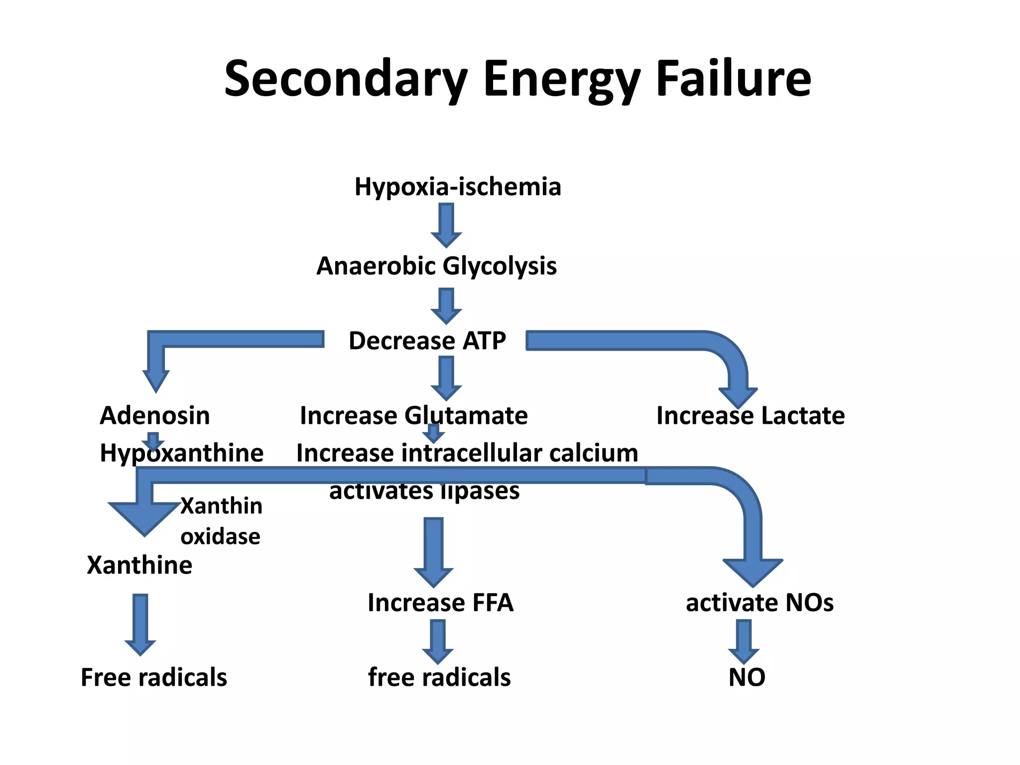 Neonatal Therapeutic Hypothermia.pptx