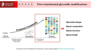 Glycosylation | PPTX