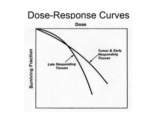 Therapeutic Ratio | PPT