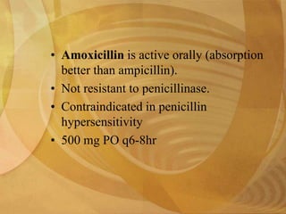 Therapeutics in dentistry (antibiotics) | PPTX