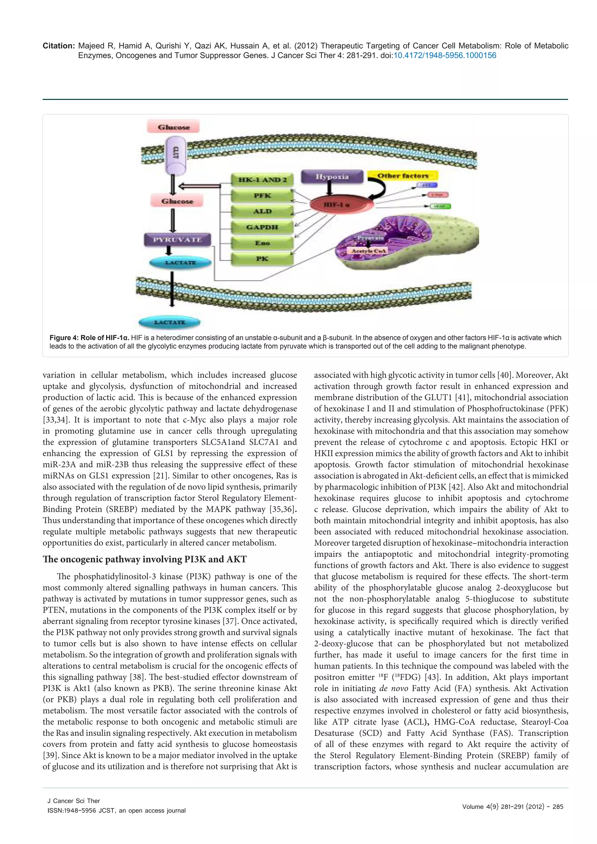 Therapeutic targeting of cancer cell metabolism --role of metabolic ...