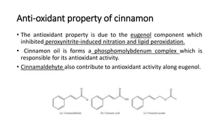 Therapeutic use of cinnamon | PPTX