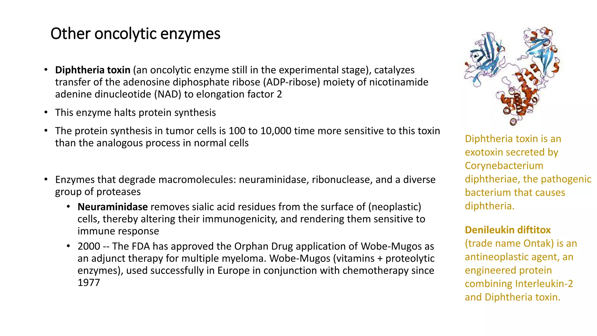 Therapeutic Use of Enzymes.pdf