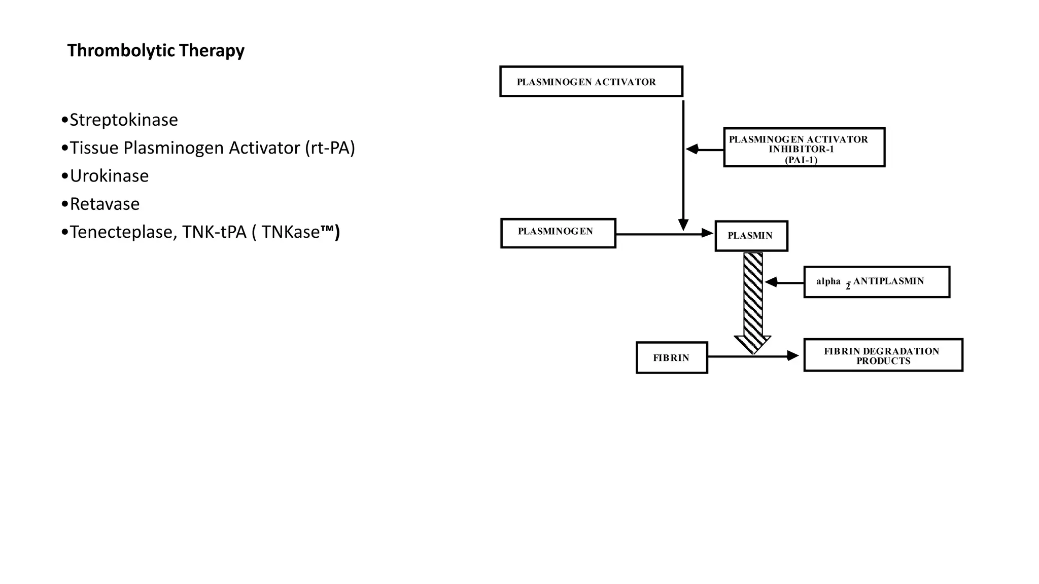Therapeutic Use of Enzymes.pdf