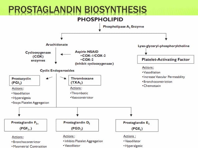 Prostaglandin biosynthesis & therapeutic uses of prostaglandin analouges
