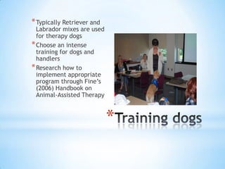 Therapy dogs presentation | PPTX